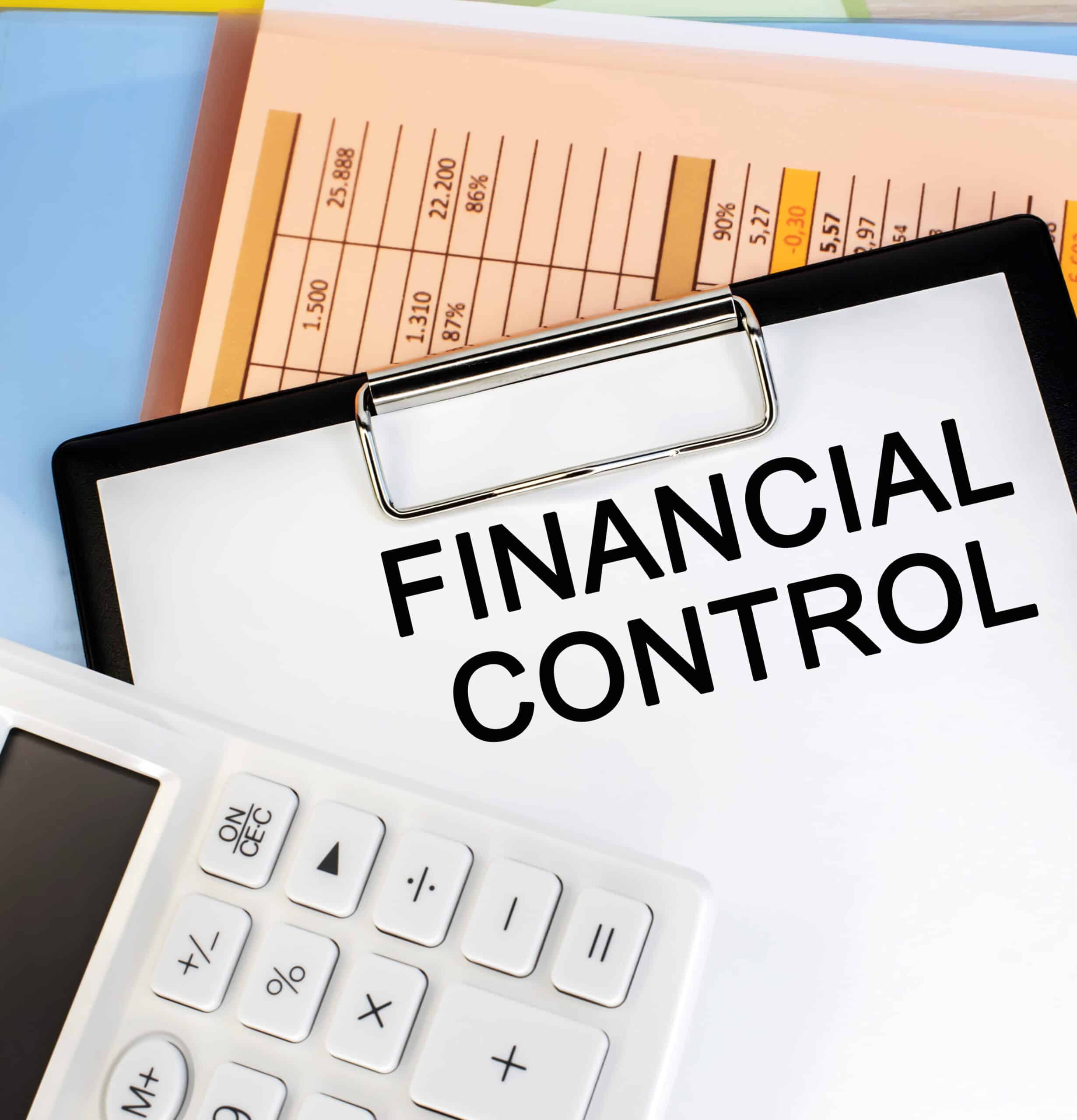 The Hidden Cost Of Poor Financial Controls - Ciuci Consulting